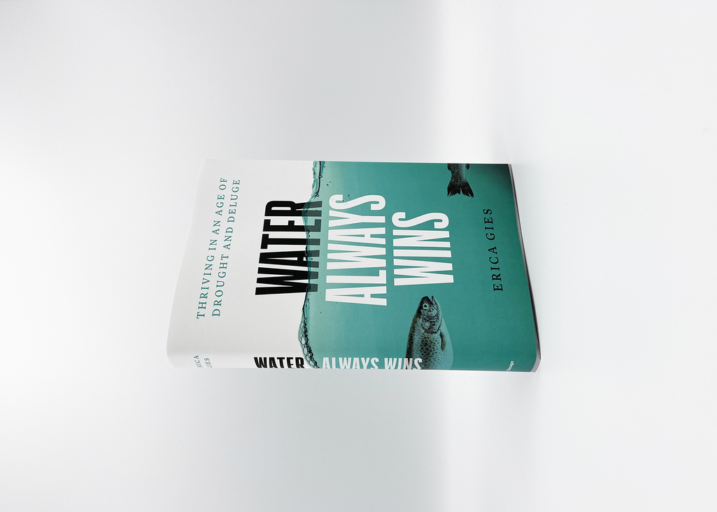 Erica Gies / SlowWater.world (@egies@masto.ai) - Mastodon