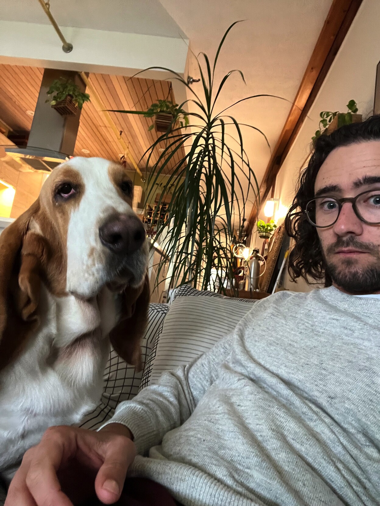 Ethan Waldman (@ethanwaldman@masto.ai) - Mastodon