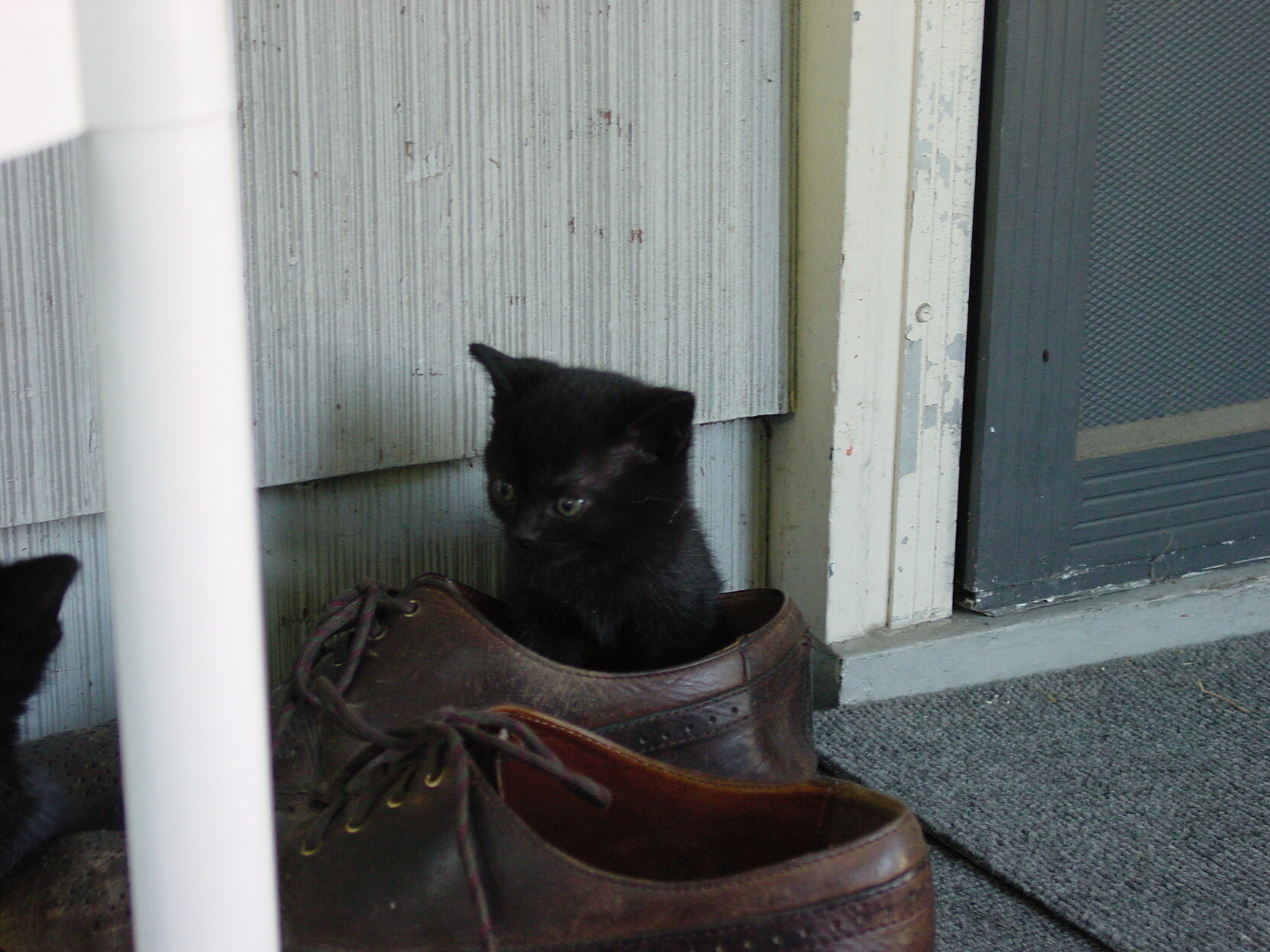 Paul Yager :verified_gay: (@pyager@masto.ai) - Mastodon