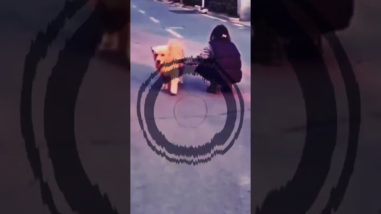 Jesse Payton (@the_editor@masto.ai) - Mastodon