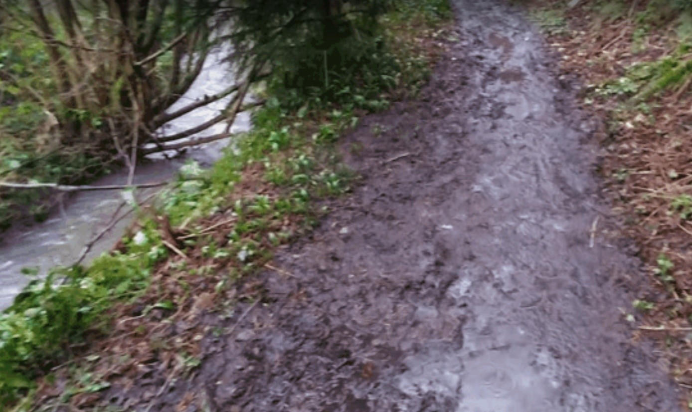 Dave Jackson (@davejackson@masto.ai) - Mastodon