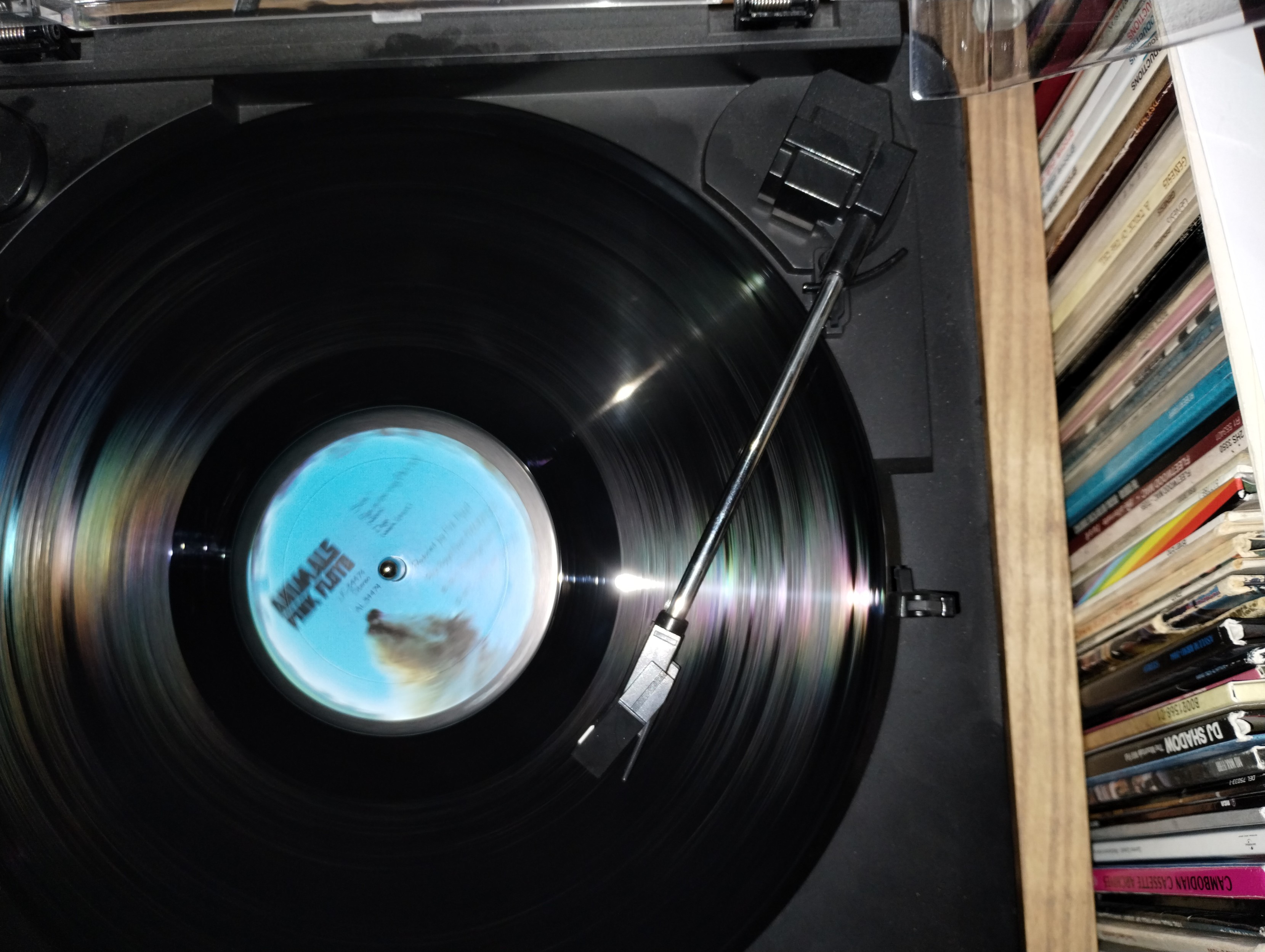 Scott D. Strader (@sstrader@masto.ai) - Mastodon