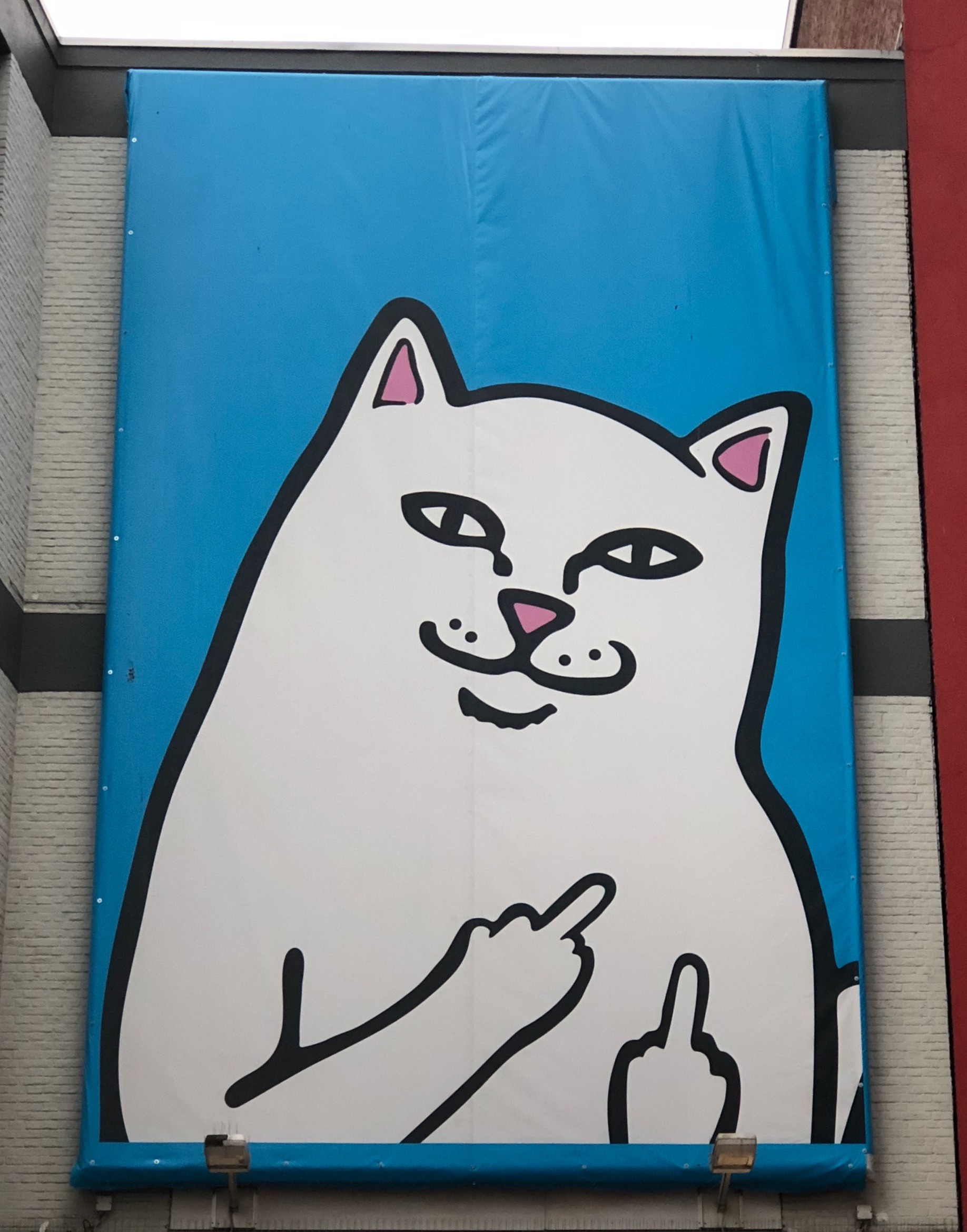 Fisher of Time (@FOT@masto.ai) - Mastodon