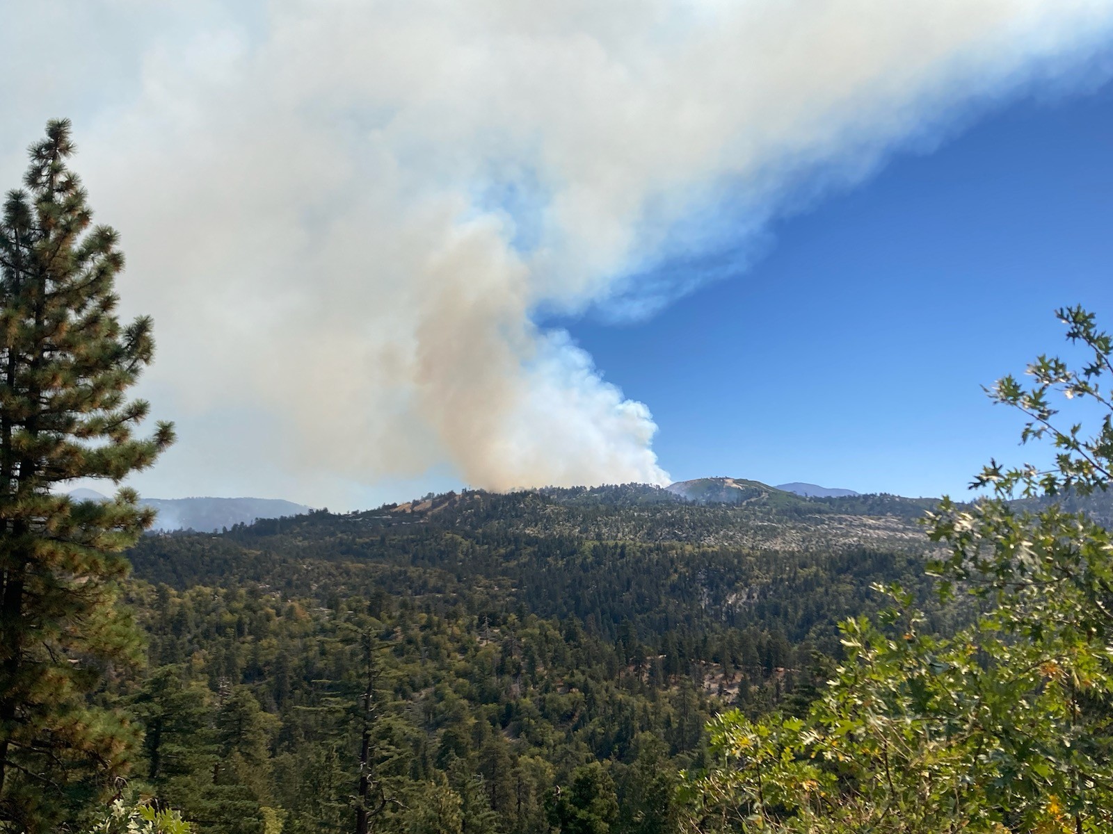 Susan A. Kitchens (@susankitchens@masto.ai) - Mastodon